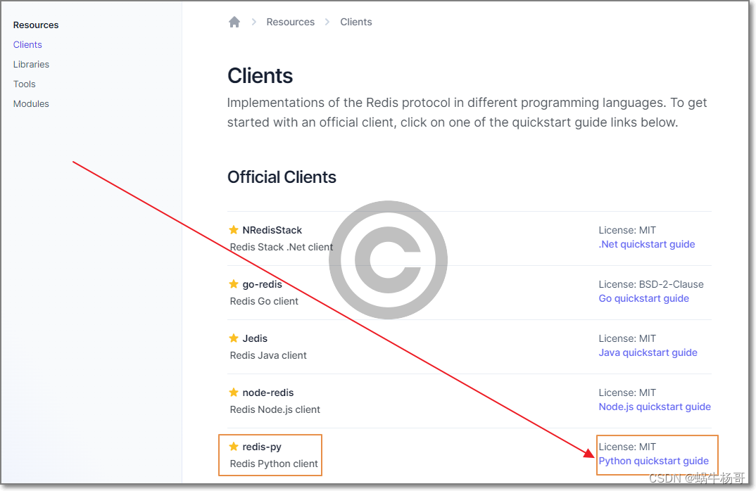 Python3操作Redis最新版|CRUD基本操作(保姆级)_python3 redis-CSDN博客