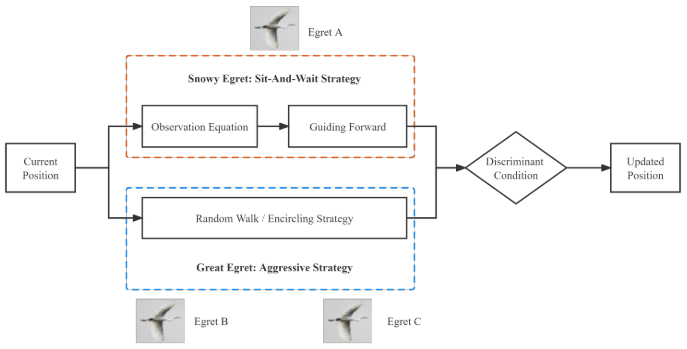 【智能算法】白鹭群优化算法（ESOA）原理及实现-CSDN博客