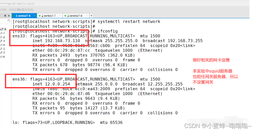 web缓存—Squid代理服务-CSDN博客