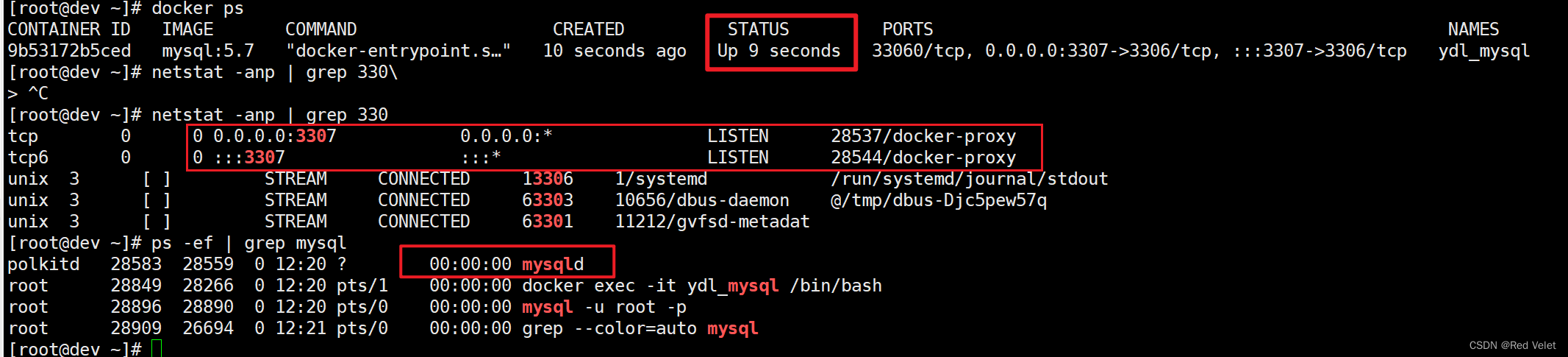 Navicate远程连接linux上docker安装的mysql容器windows Navicat连接到linux Mysql Csdn博客