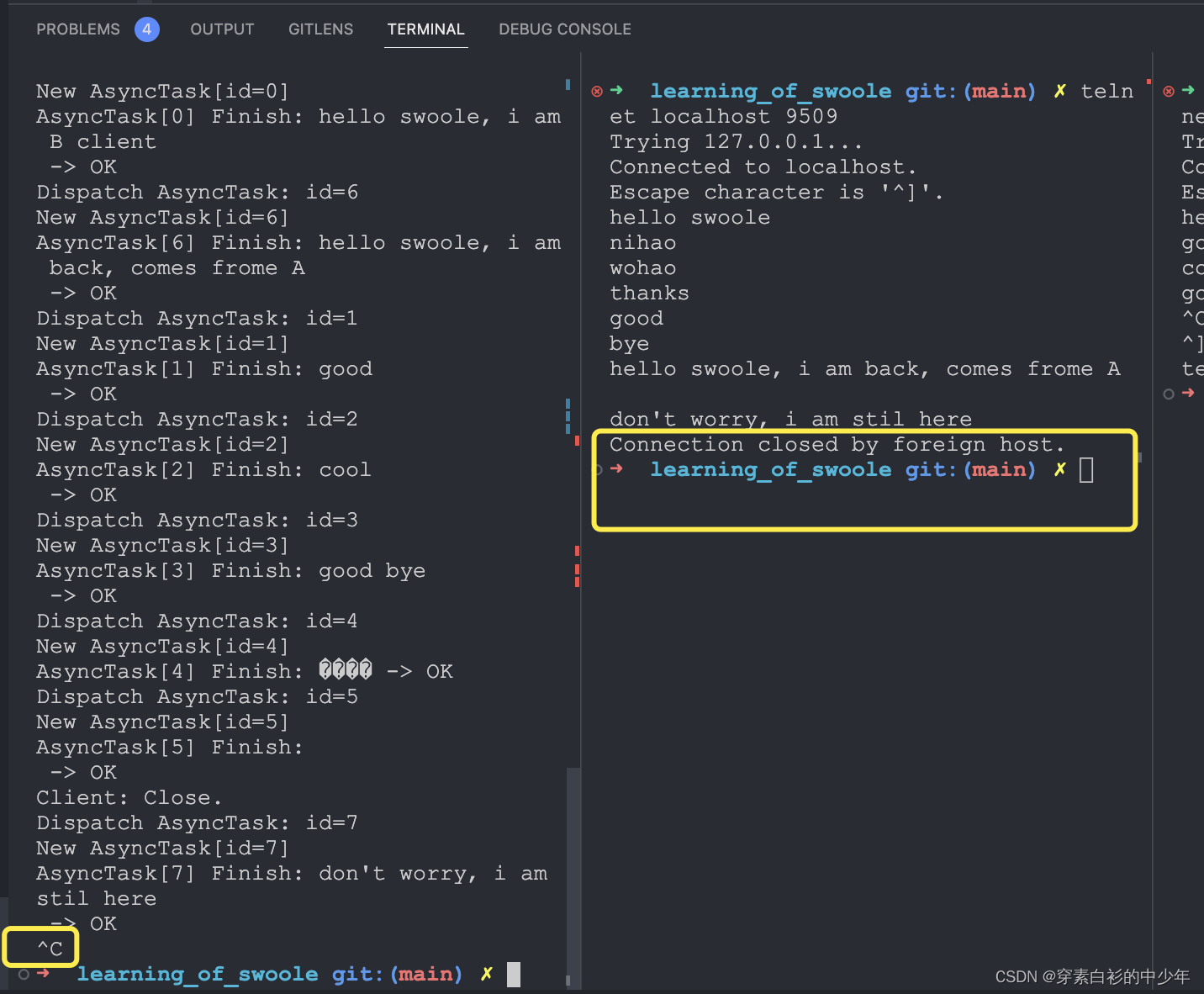 Swoole系列(2) - 快速启动_swoole启动服务-CSDN博客