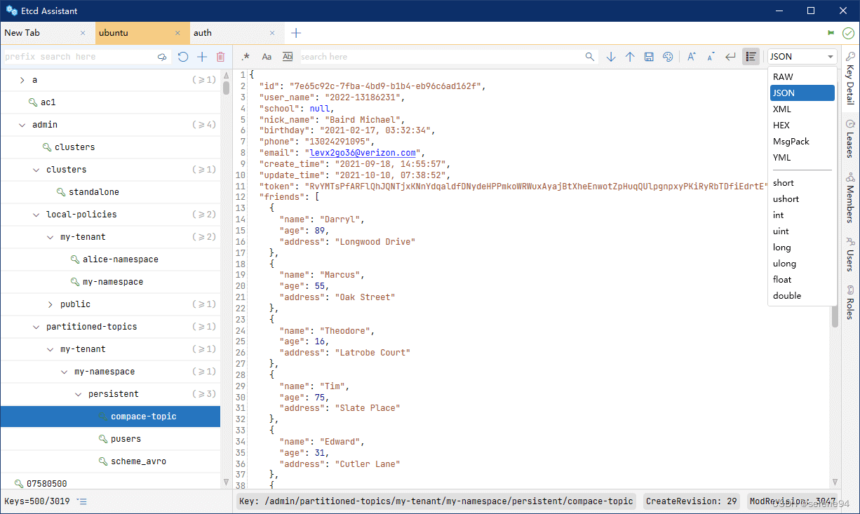 Etcd 可视化管理工具，GUI 客户端_etcd可视化客户端-CSDN博客