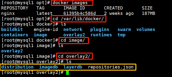 【Docker】Docker容器操作-CSDN博客