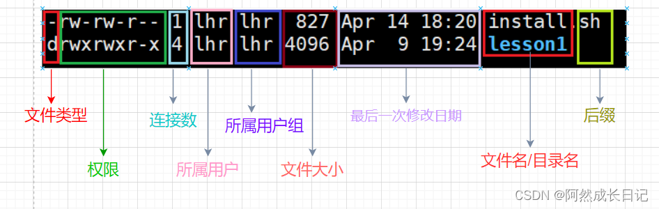 【Linux】权限（rwx）及chmod、chown、chgrp修改权限等指令详解!-CSDN博客
