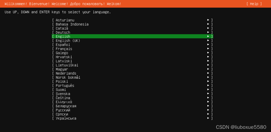 Ubuntu server 22.04 系统安装（Ubuntu最新版）_ubuntu22.04安装教程-CSDN博客