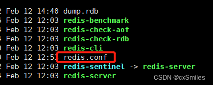 Linux安装redis5.0 (超完整图文详细教程)-CSDN博客
