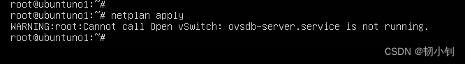 Ubuntu 22.04.4系统虚拟机安装记录_warning:root:cannot call open vswitch: ovsdb-serve-CSDN博客