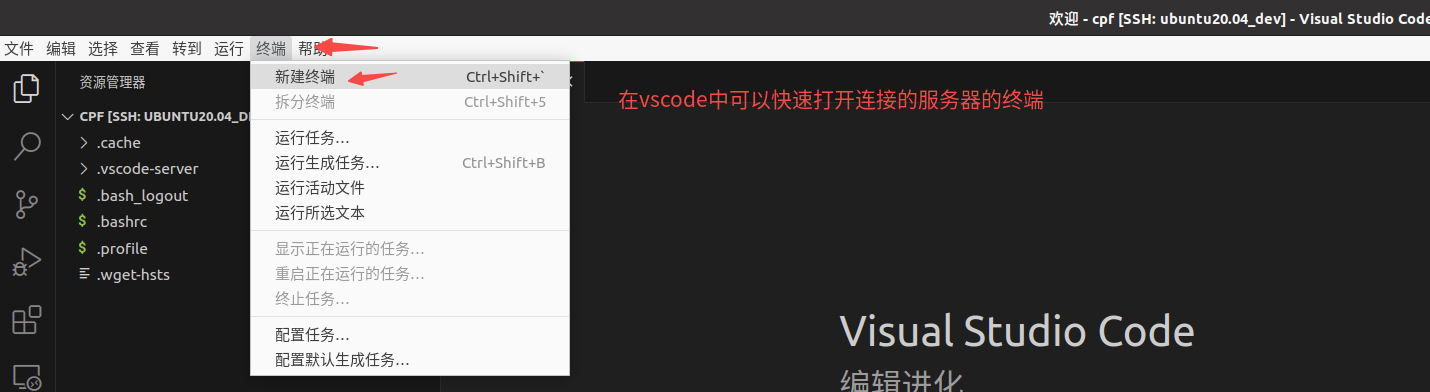 vscode+docker搭建迷你开发环境。制作docker镜像，并通过vscode连接后进行开发_vscode docker-CSDN博客