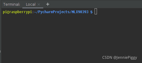 树莓派 Pycharm “Cannot open Local Terminal“ （无法打开终端） 错误解决方法_pycharm打不开terminal-CSDN博客