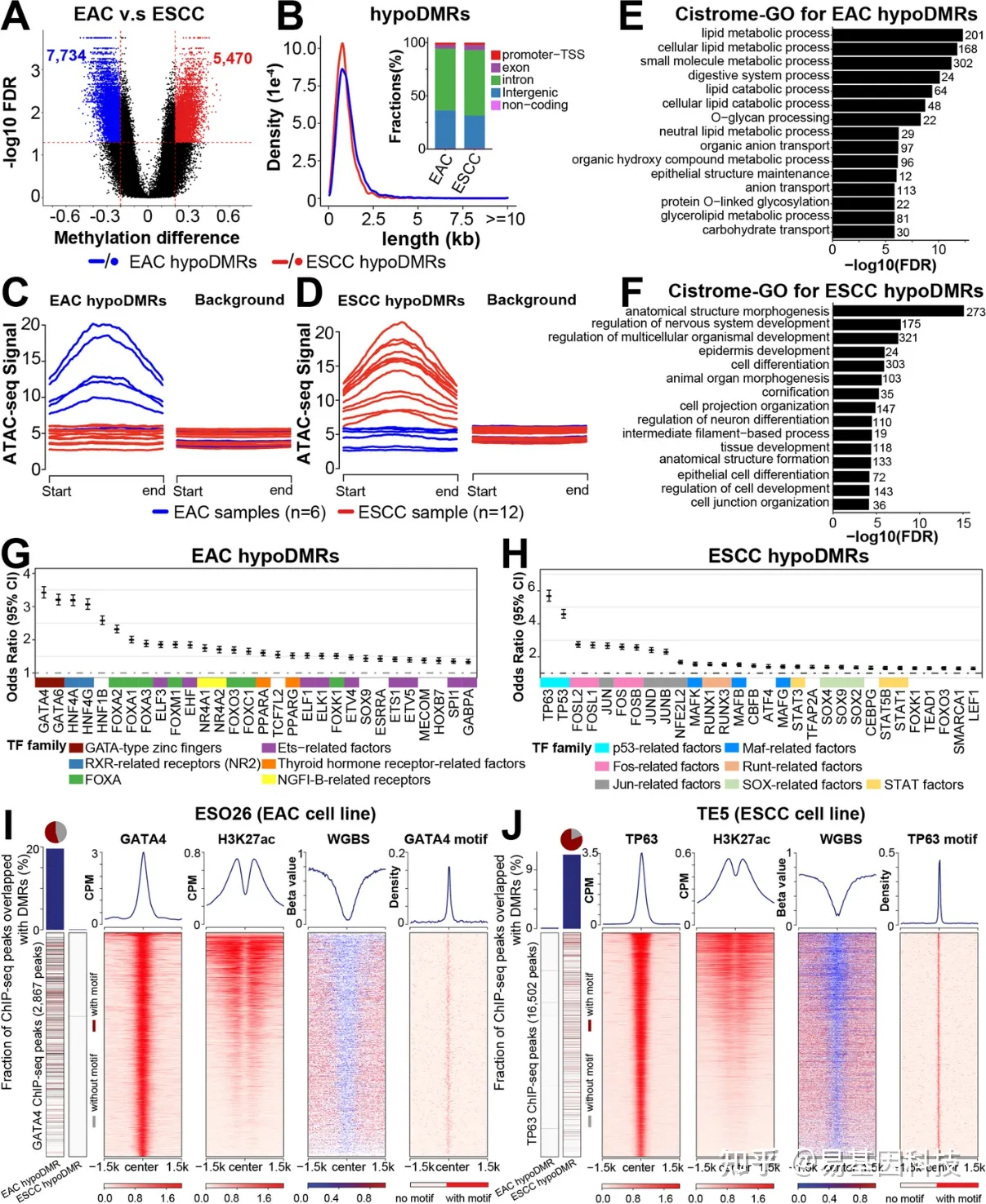 易基因： WGBS+ChIP-seq揭示食管癌的细胞类型和癌症特异性表观遗传调控｜Genome Biol_partially methylated domains (pmds).-CSDN博客