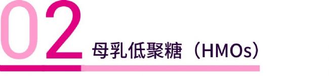 天然产物 | 低聚糖：在调节肠道菌群和免疫调节方面的重要作用 - MCE_hmos键什么作用-CSDN博客