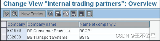 SAP 如何创建Company-公司_sap上增加一家子公司-CSDN博客