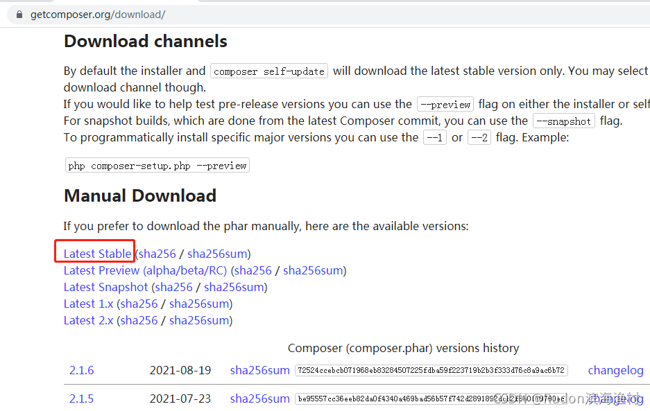 升级Windows下的PHPStudy的composer版本_phpstudy composer 升级-CSDN博客