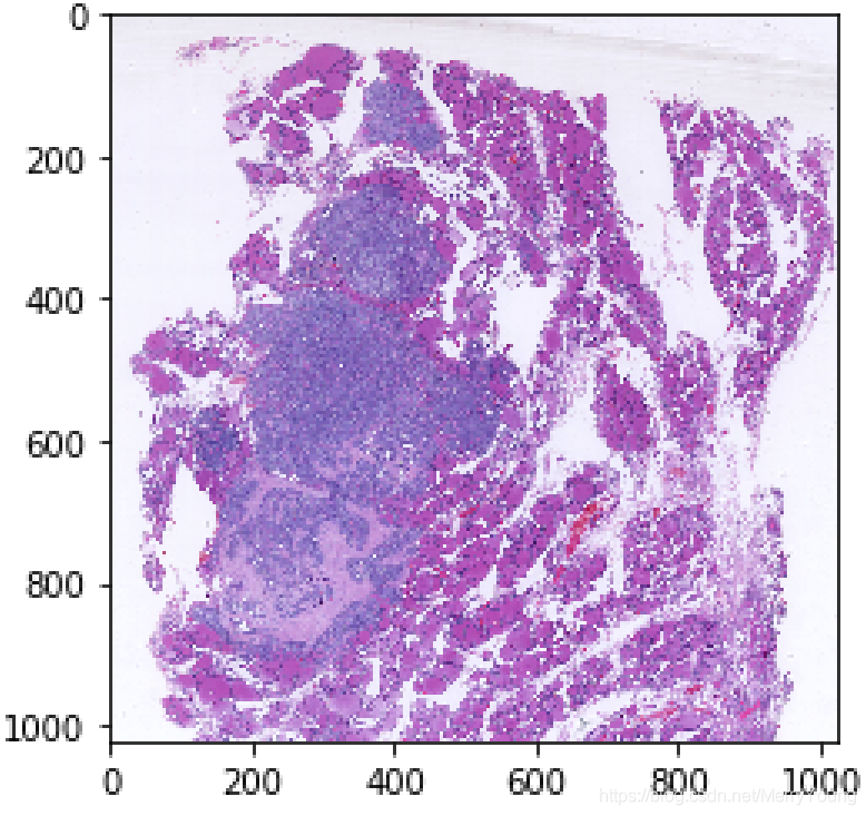 使用openslide-python对whole slide image（WSI）进行读取、显示和金字塔构建、生成tiles_wsi金字塔图-CSDN博客
