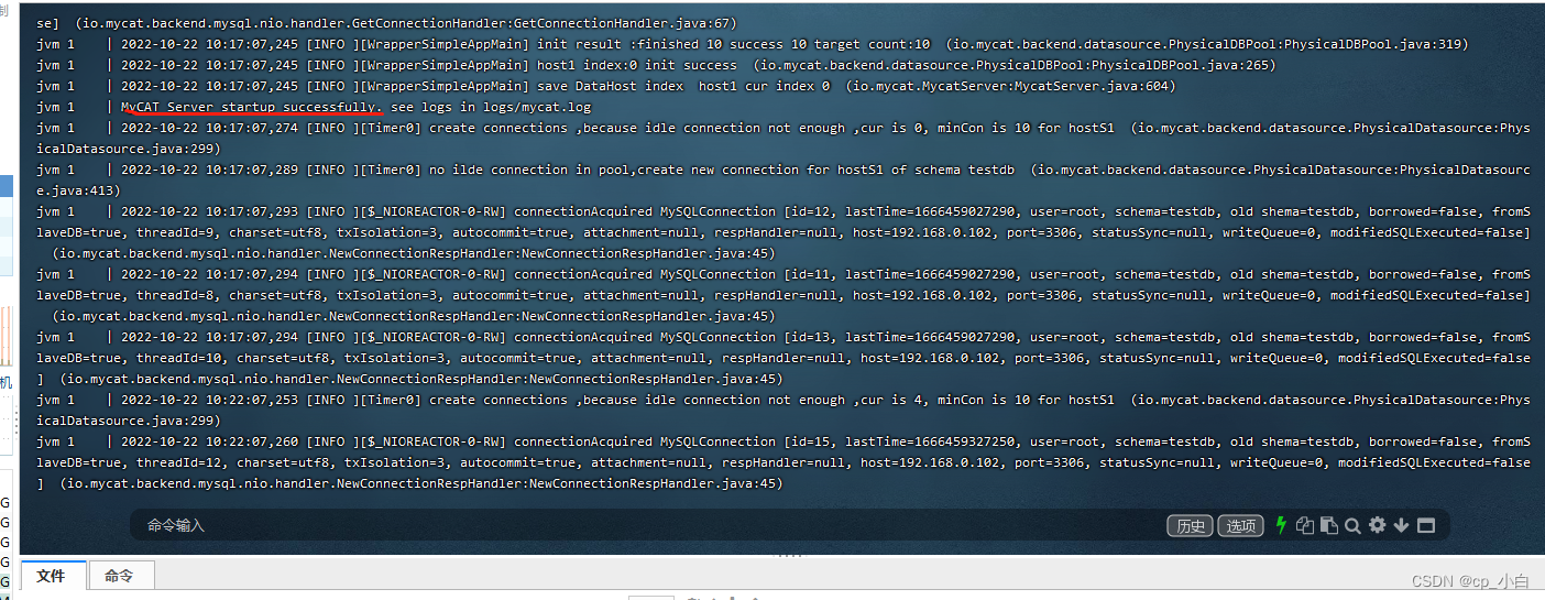 使用MyCat 进行搭建 主从同步以及读写分离_mycat主从切换-CSDN博客