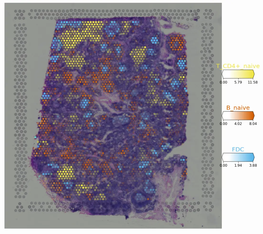 10X单细胞空间联合分析之再次解读cell2location-CSDN博客