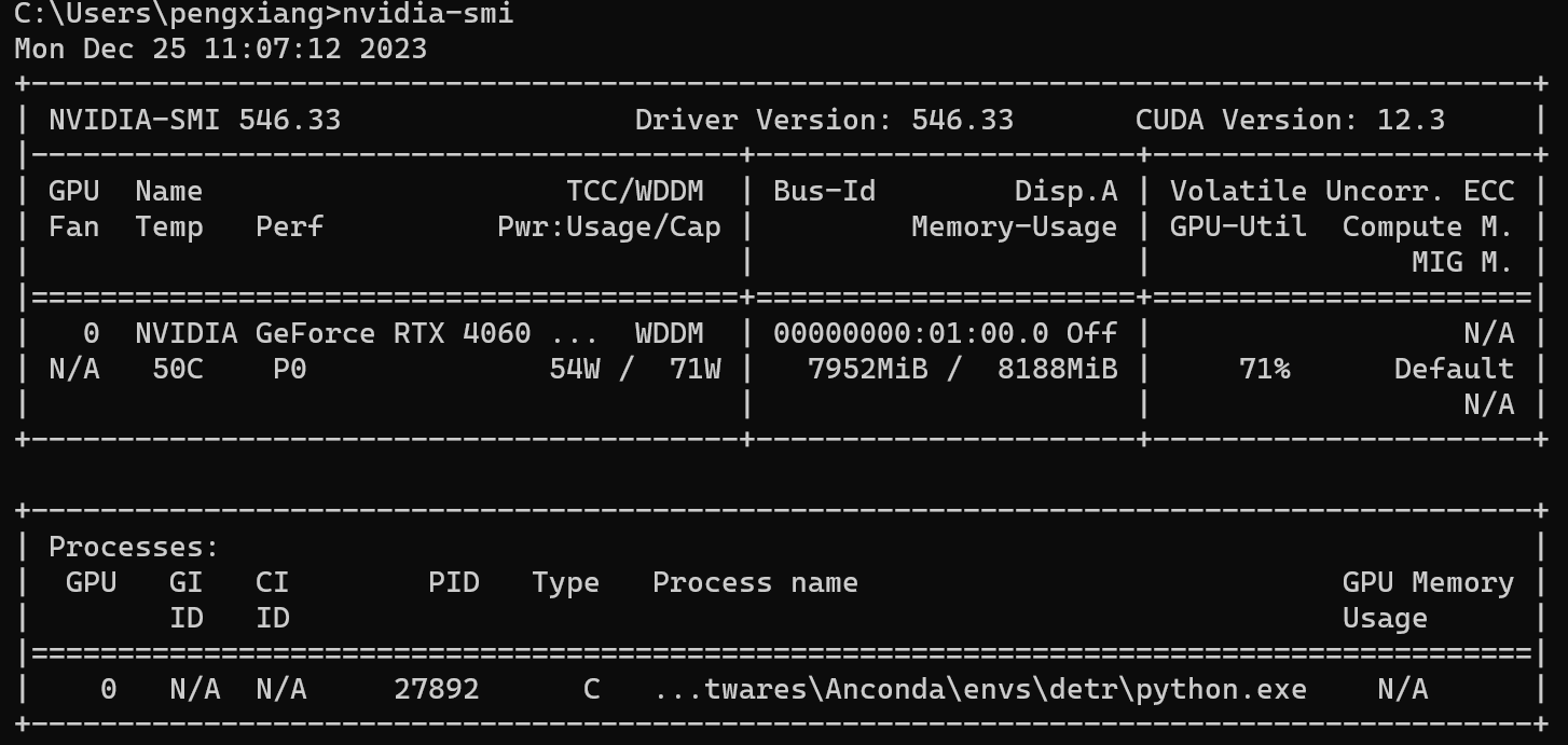 DN-DETR本地运行配置与调试过程-CSDN博客
