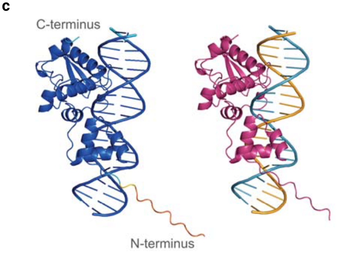 2024-AIDD-人工智能药物设计-AlphaFold3_aichemy-rna2-CSDN博客