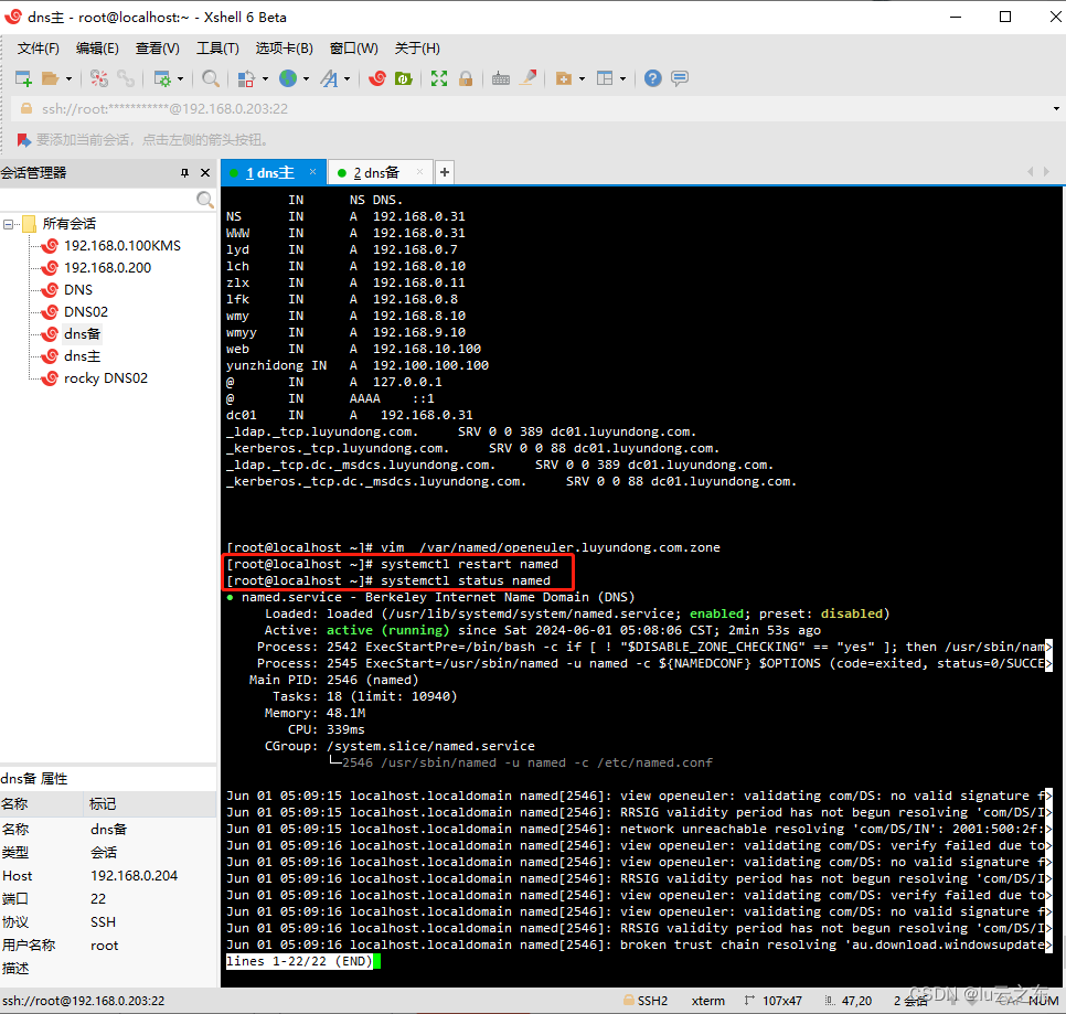 Rocky linux 搭建DNS主从服务器+keepalived实现高可用_keepalived dns-CSDN博客