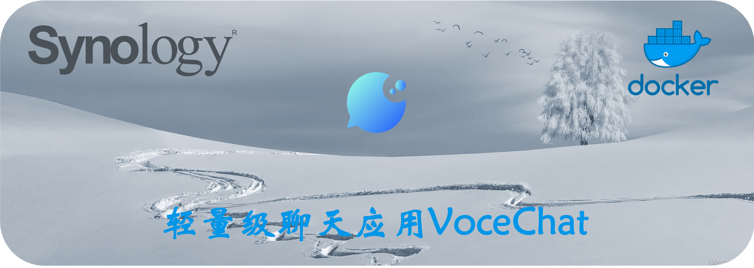 轻量级聊天应用VoceChat-CSDN博客