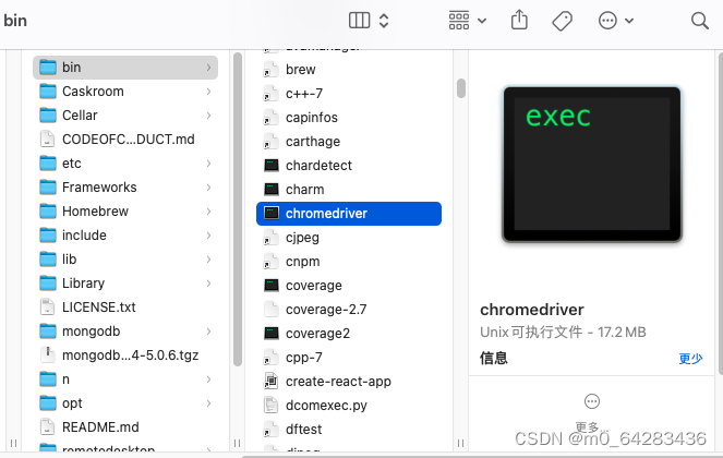 MAC系统安装chromedriver_mac chromedriver-CSDN博客