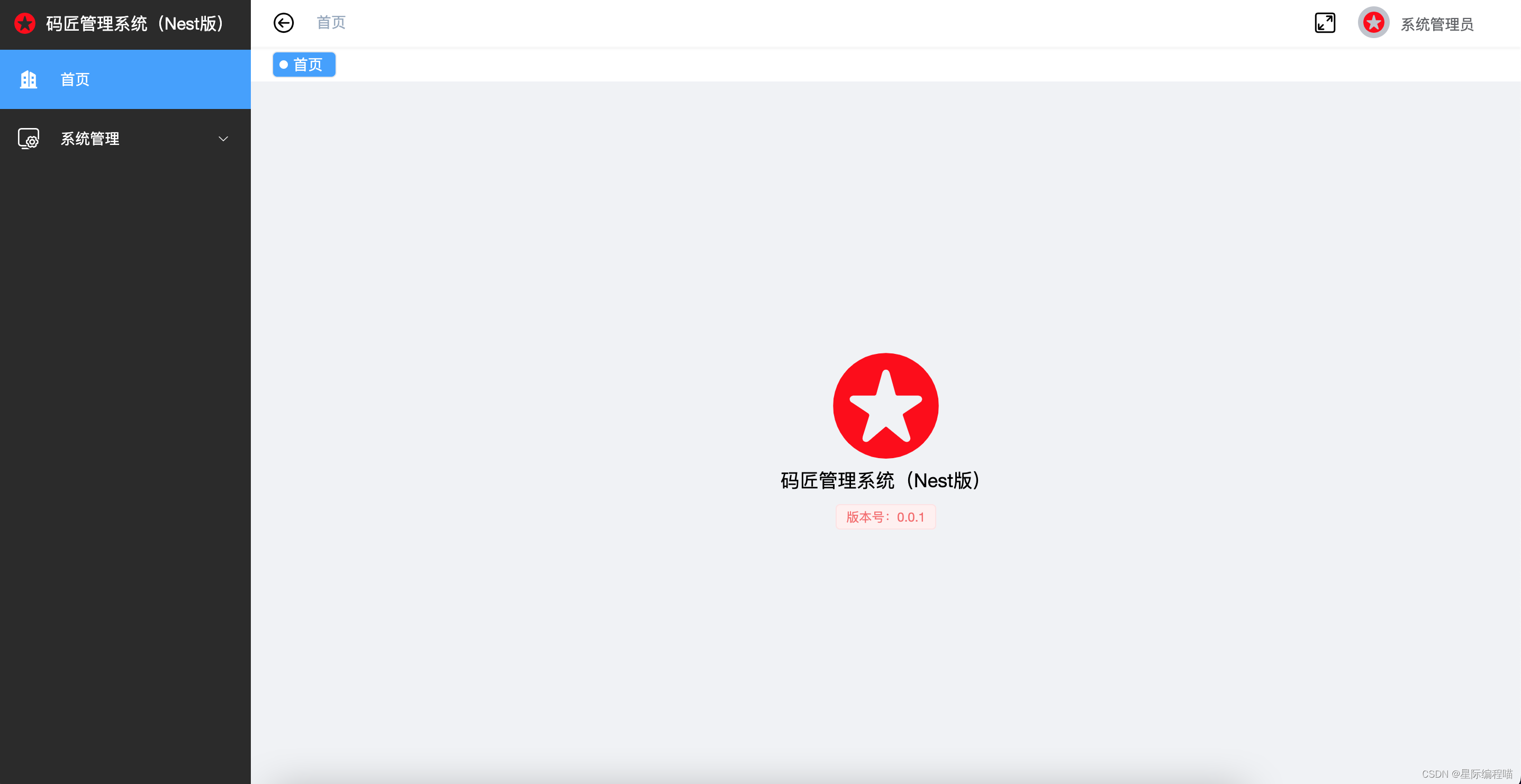 构建高效的码匠管理系统（Nest版）：Vue 3.X、Vite、Element Plus 和 Nest 开发回顾_nest vite打包工具-CSDN博客