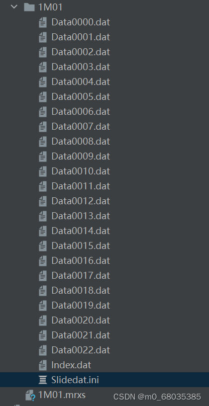 Mrxs文件找不到Slidedat.ini的报错_mrxs文件用什么打开-CSDN博客