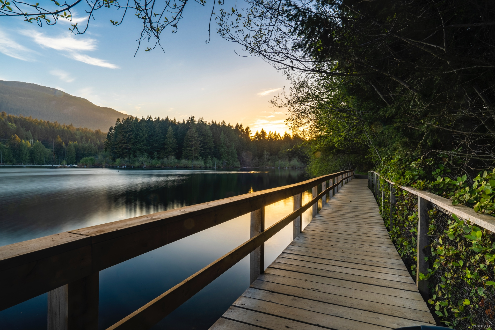 Python - 深夜数据结构与算法之 Prune_python morphology.prune-CSDN博客