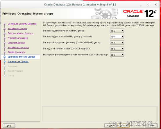 oracle12c到19c adg搭建（二）oracle12c数据库软件安装_oracle 12c adg-CSDN博客