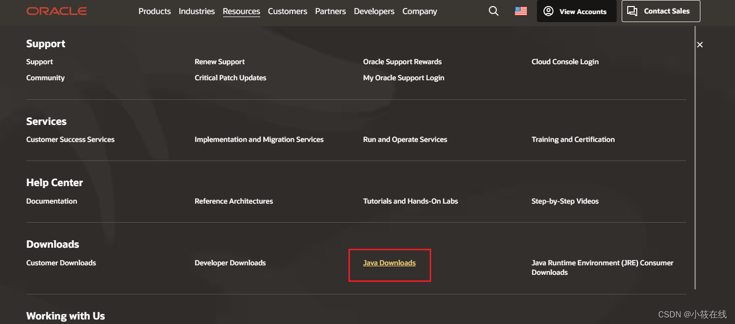 如何利用Oracle官方网站不登录账号下载和安装非最新版本的JDK（版本自由选择）_没有oracle账户怎么下载java-CSDN博客