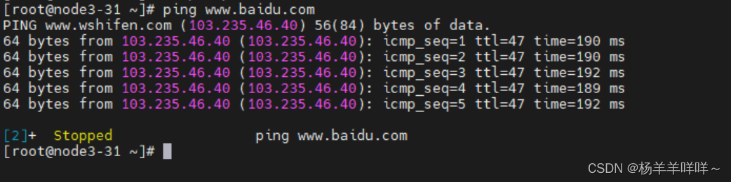 解决ping: www.baidu.com: Name or service not known_linux_杨羊羊咩咩～-华为开发者空间