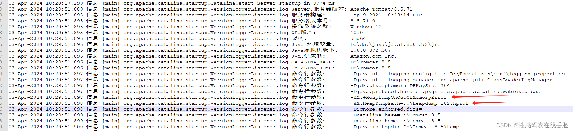 Tomcat Jar 内存溢出时生成dump文件参数配置_tomcat 内存溢出 自动打dump-CSDN博客