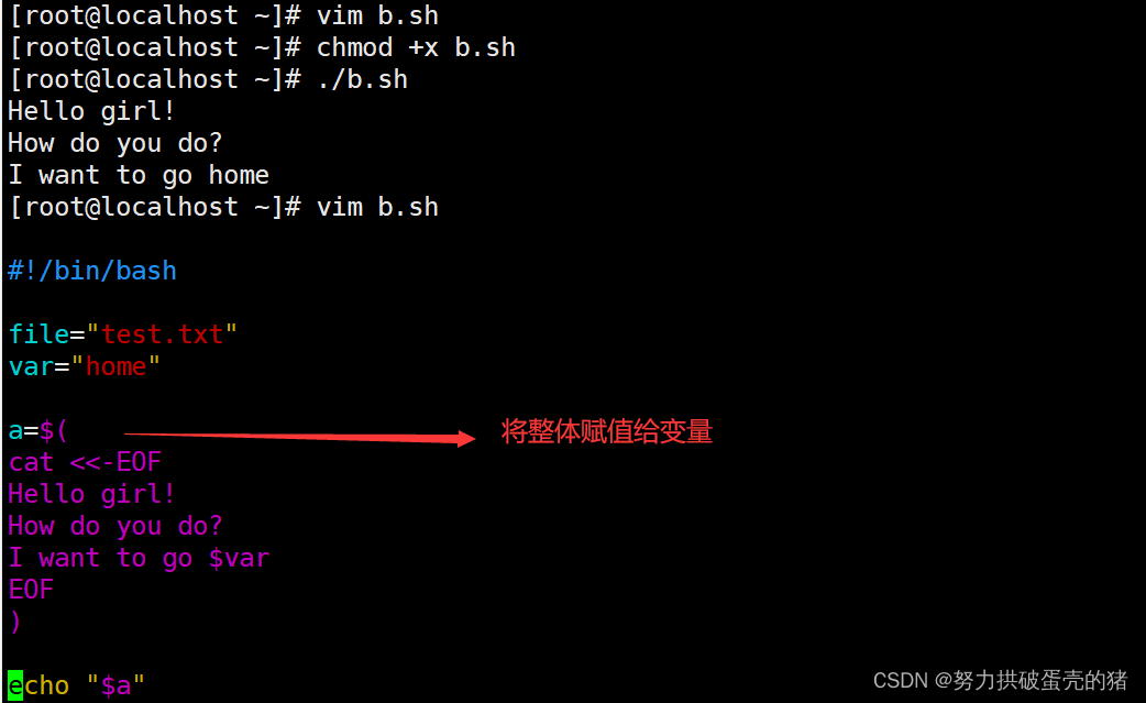 HereDocument与Expect：Linux脚本免交互技术详解-CSDN博客