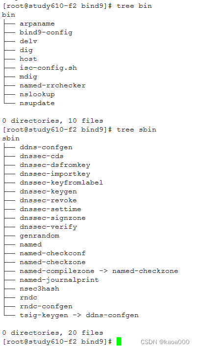 Linux入门攻坚——24、BIND编译安装、Telnet和OpenSSH_编译安装bind-CSDN博客