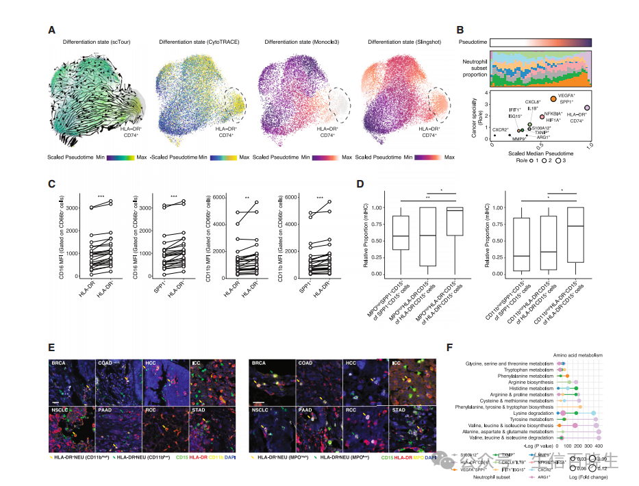 单细胞高分文章代码分享6 樊嘉 高强 团队泛癌中性粒细胞_中性粒细胞泛癌复现代码-CSDN博客