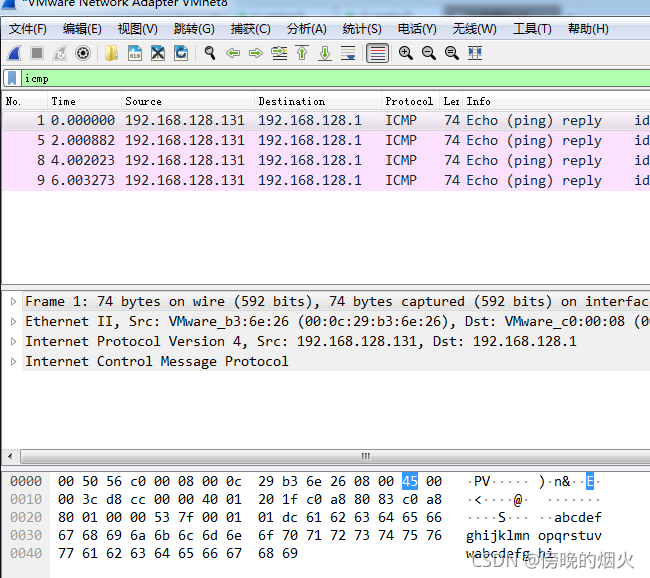 socket 编程（四） Linux raw socket-CSDN博客