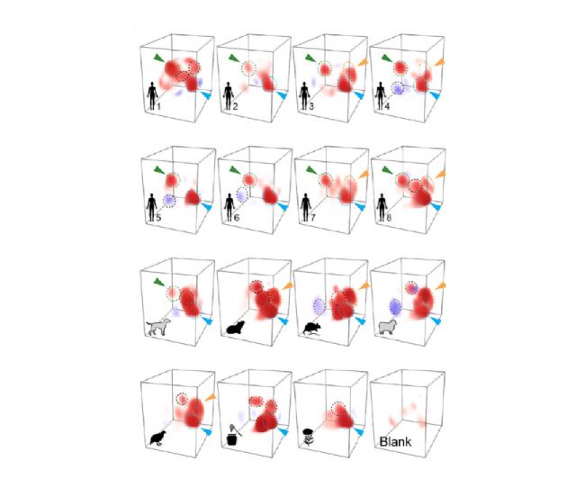 蚊子为什么专咬我！“吗喽“ 的命也是命 | MedChemExpress (MCE)-CSDN博客