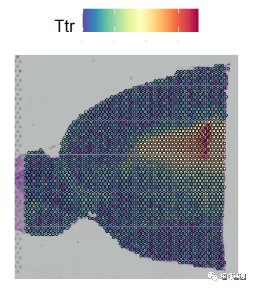 SCS【21】单细胞空间转录组可视化 (Seurat V5)-CSDN博客