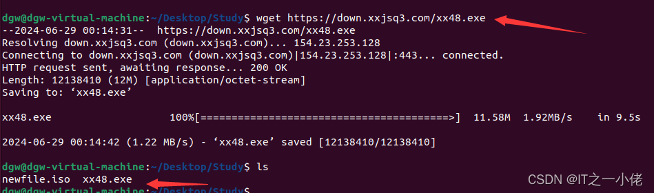 Linux系统中wget命令用法详解_linux wegt-CSDN博客