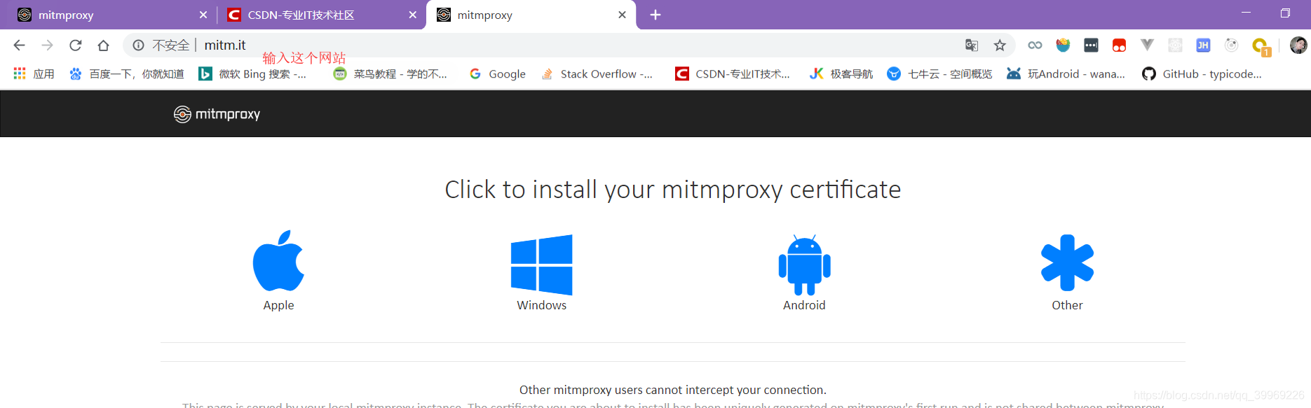 mitmproxy使用（windows）_windows mitmproxy-CSDN博客