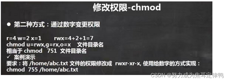 Linux:文件及目录权限详解+实例_chmod 751-CSDN博客
