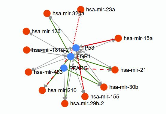 miRNA数据库篇——TransmiR:转录因子和miRNA调控关系数据库_tf-mirna-mrna-CSDN博客