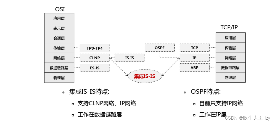 IS-IS协议基础_iss协议-CSDN博客