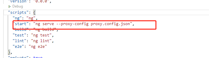 angular11 代理 proxy 跨域解决办法2步搞定_ng serve proxy-CSDN博客