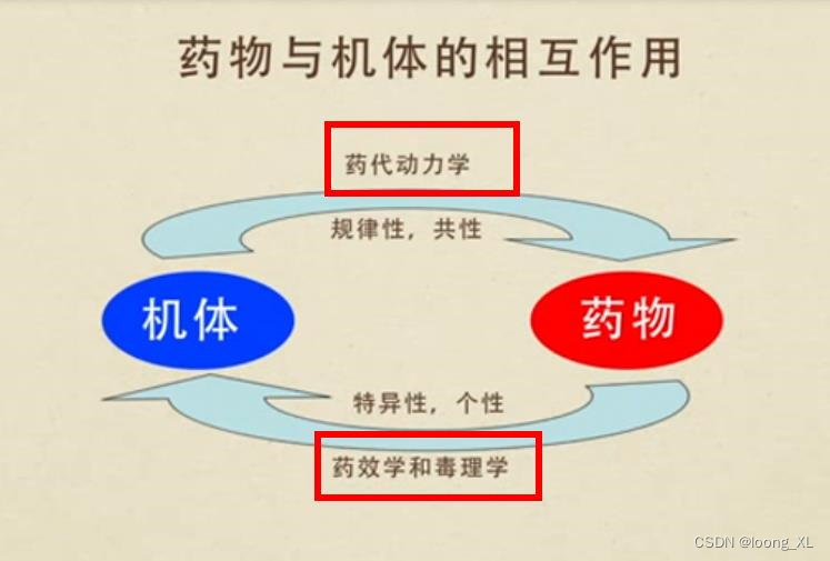 药物相关 PK（药代动力） 、PD（药效）指标知识_pk和pd-CSDN博客