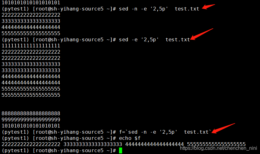 shell中sed命令_shell sed -i-CSDN博客