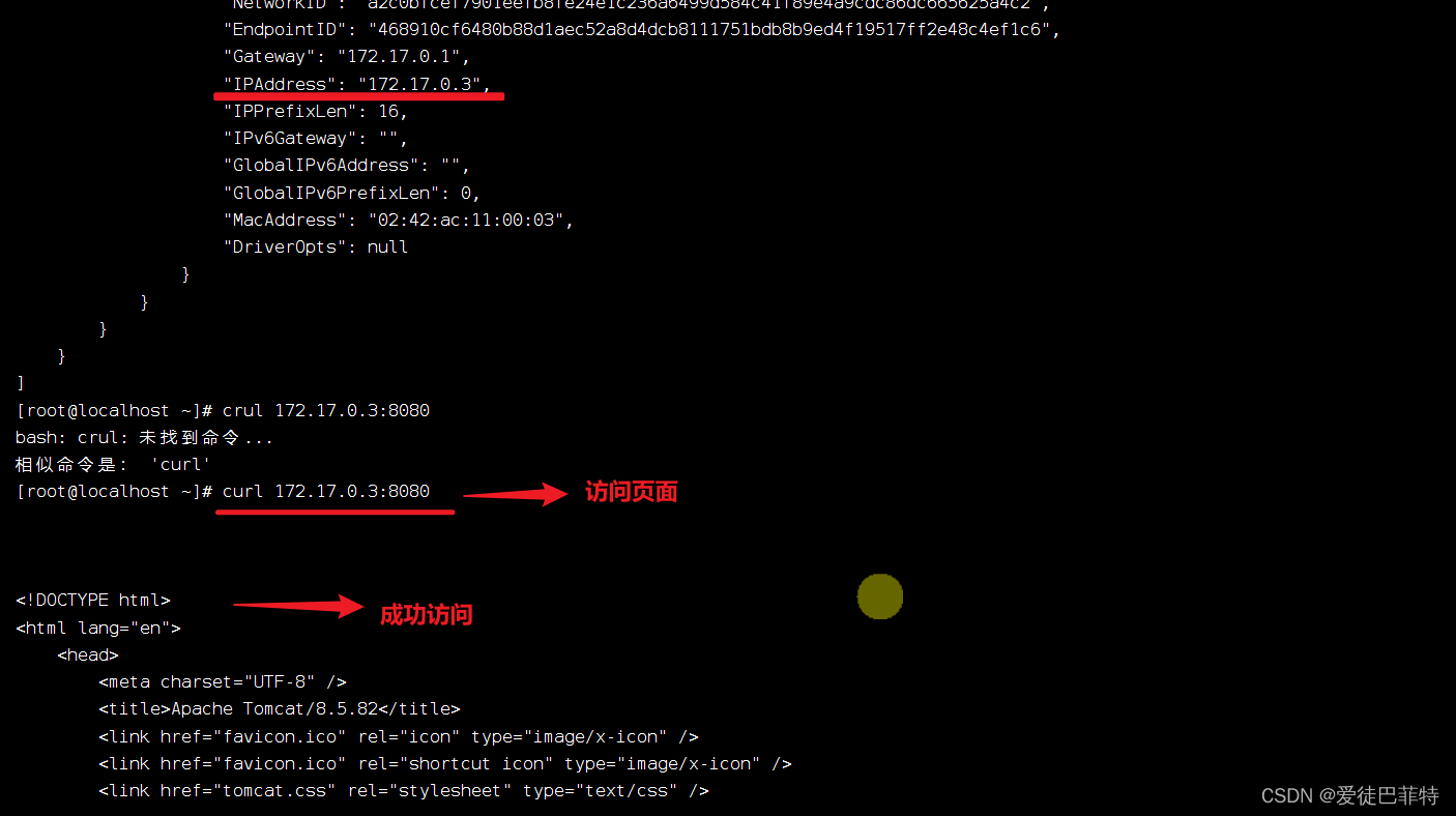 docker_docker安装tomcat自带jdk-CSDN博客
