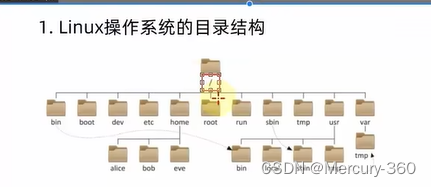 Linux目录及文件命令_linux find -name 模糊查询文件-CSDN博客