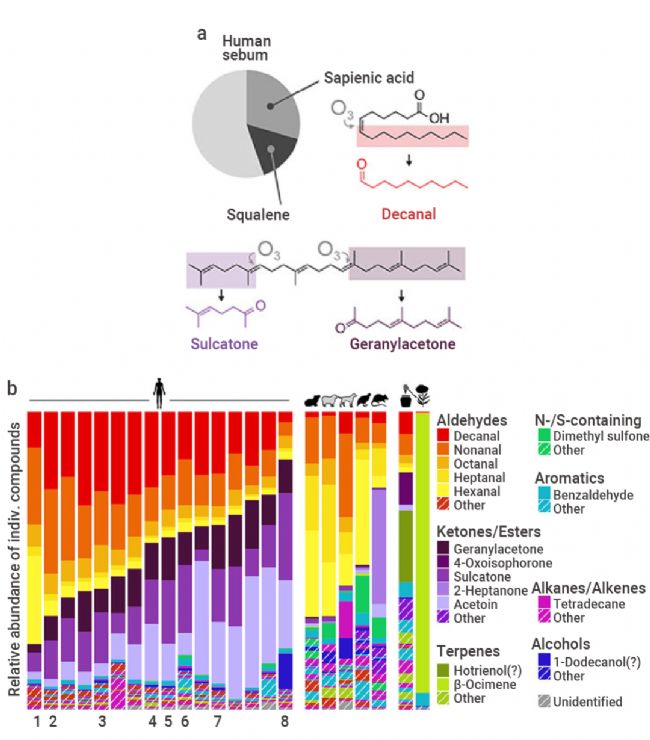 蚊子为什么专咬我！“吗喽“ 的命也是命 | MedChemExpress (MCE)-CSDN博客