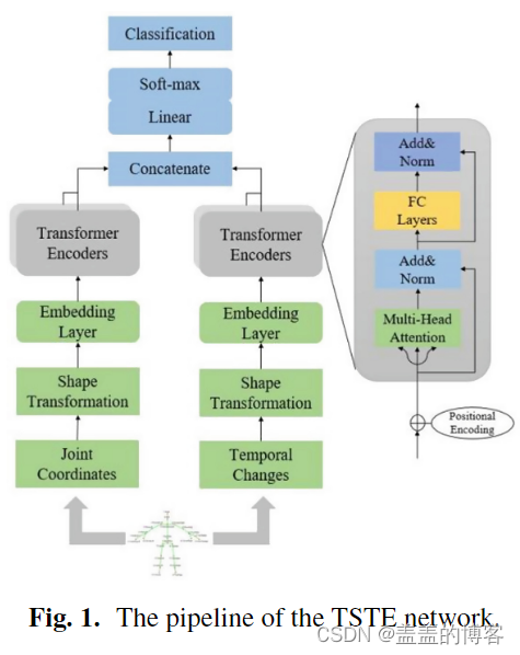 2022CCIE （TSTE）：Two-Stream Transformer Encoders for Skeleton-Based ...